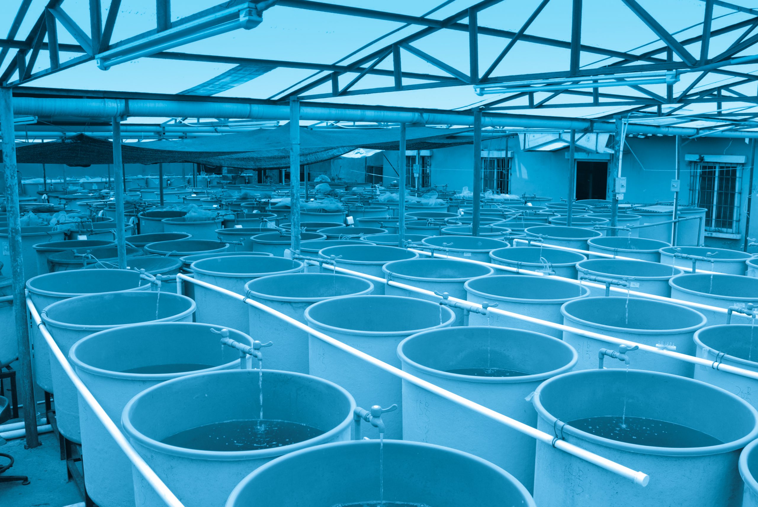 PISCIFACTORIAS | Redox System